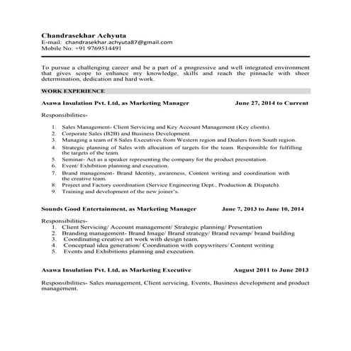Bhaskar Mitra CV_UltraTech Cement | PDF