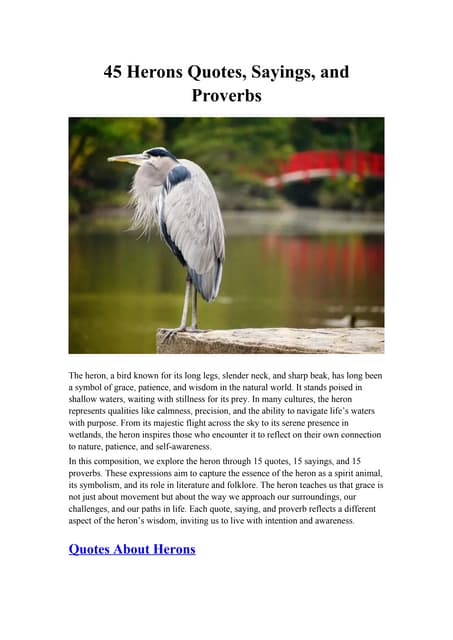 42 Rook Quotes, Sayings, and Proverbs.docx