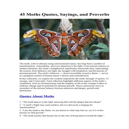 45 Moths Quotes, Sayings, and Proverbs.docx
