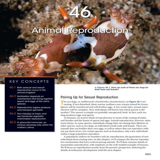 46 animal reproduction | PDF