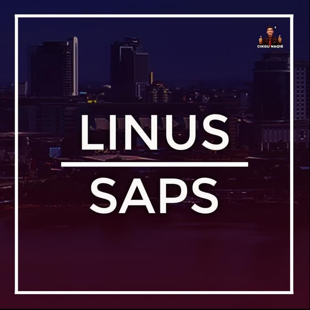 LINUS - SAPS | PDF