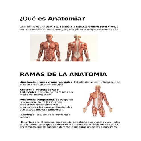 460409792-Que-es-Anatomia-ramas-sistemas-aparator-y-aplicaciones-docx.pdf