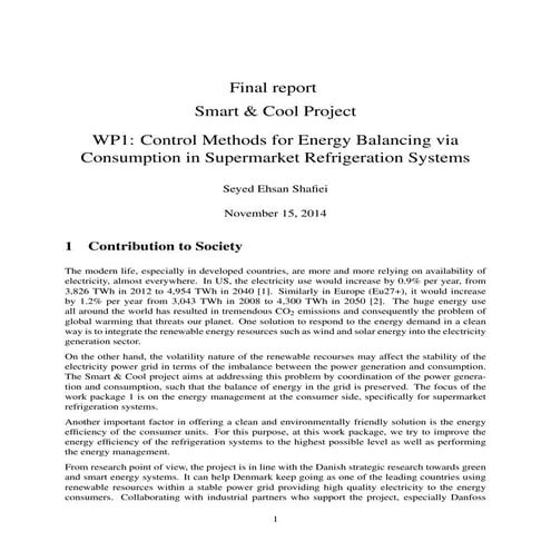 Ehsan_final_report | PDF