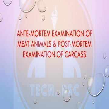 Antemortem examination of meat animals and post mortem examination of carcass | PDF