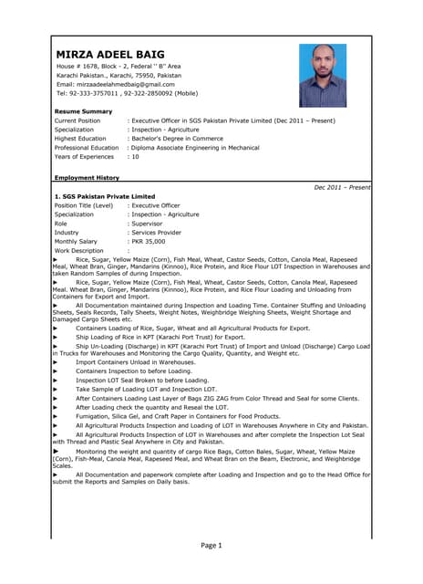 Adeel Hammad Cv New 1 With Oil & Gas References | PDF
