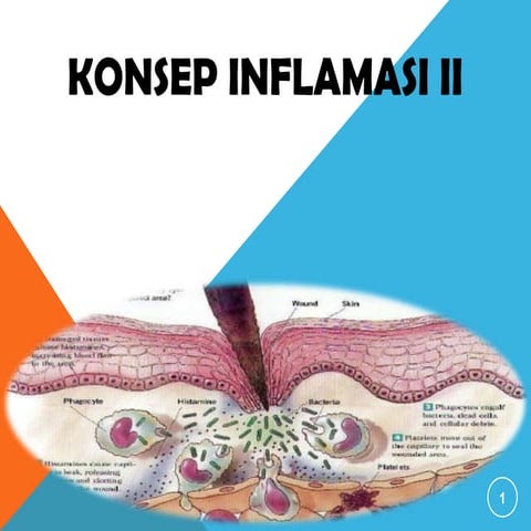 Konsep Inflamasi pada pasien, inflamasi adalah proses peradangan | PPT