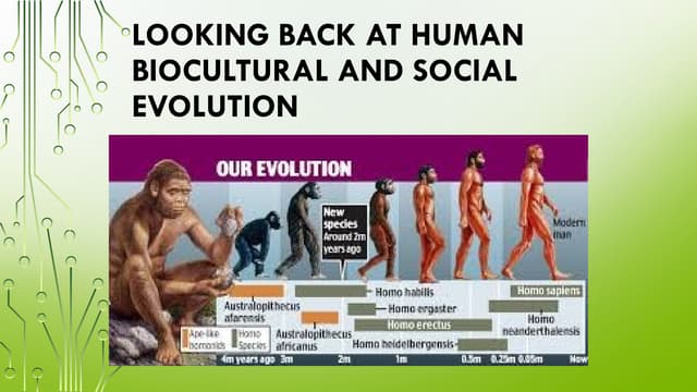 Chapter 3: Looking back at human bio cultural and social evolution | PPTX