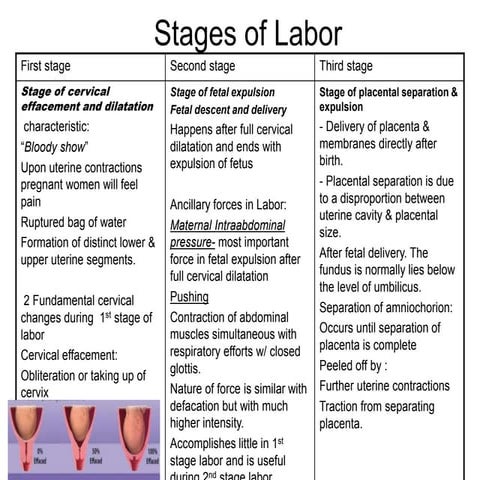 Stages of labor 4th year Bsc nursing ppt | PPTX