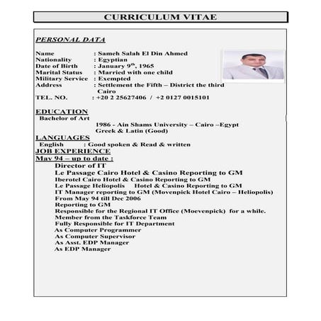 Curriculum Vitae summary dennis emmen | PPTX