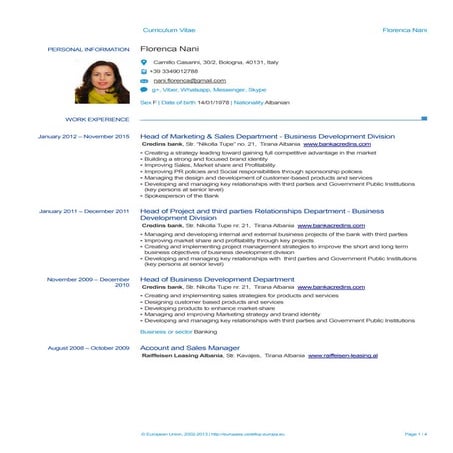 CV Nani English | PDF