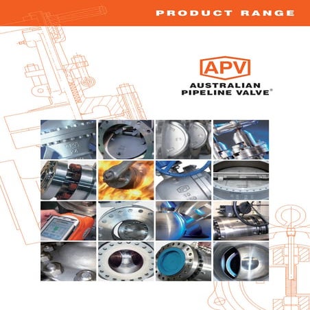 APV Product Range Overview | PDF