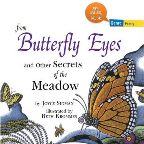 Phonics - Copy.pptx..................... | PPTX