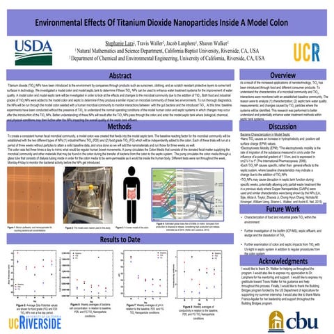 Environmental Effects Of Titanium Dioxide Nanoparticles Inside A Model ...