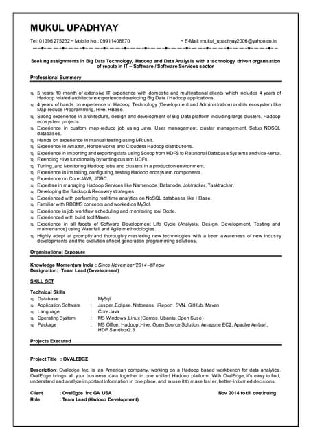 Shiv shakti resume | PDF