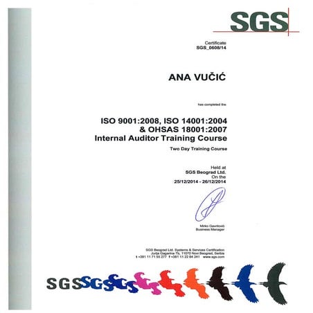 SGS Certificate Internal Auditor | PDF