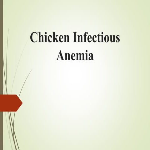 Chicken Inf Anemia 2025 updated pics.ppt