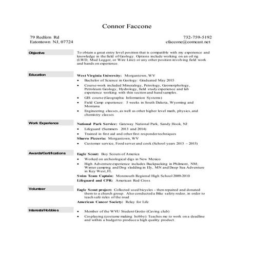 Michael Schulte Resume | DOCX