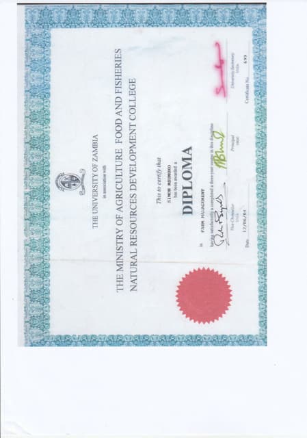 Diploma in Electrical studies | PDF