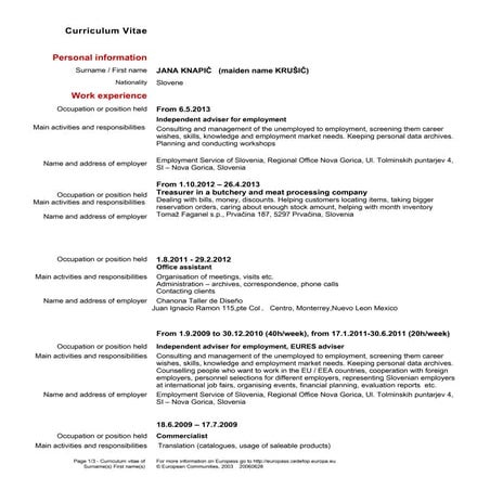 CV ENG | DOC | Resume Writing and Advice | Job Search