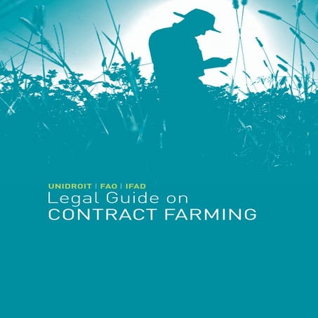 Guides to the VGGTs | PDF