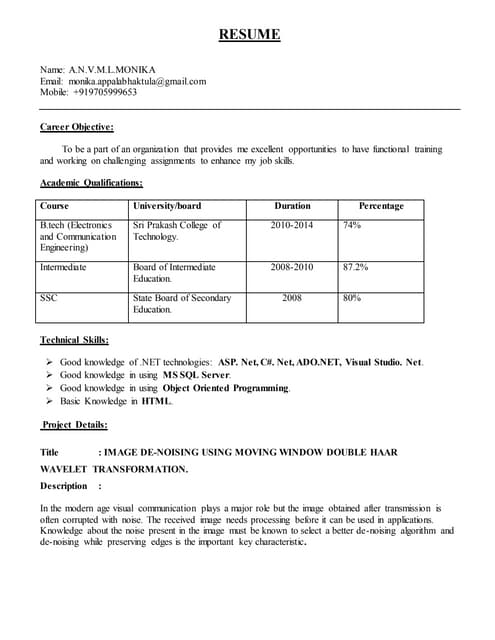 LUBNA_Resume | DOC | Programming Languages | Computing