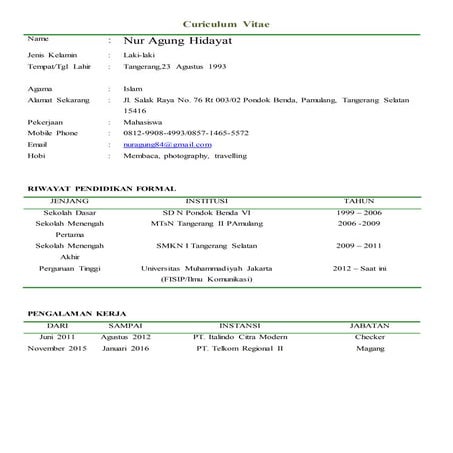CV nur agung hidayat | DOCX