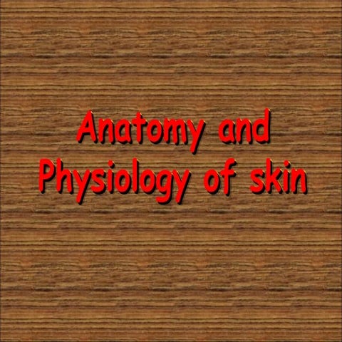 475655179-Anatomy-Physiology-of-Skin-ppt.ppt