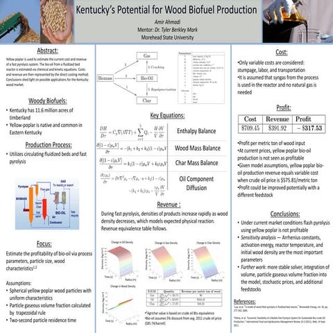 SAEA 2012 Poster final | PPTX