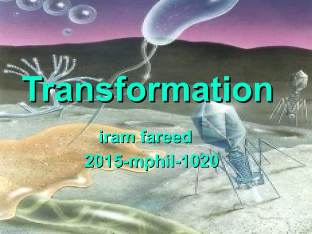 Transformation in bacteria | PDF