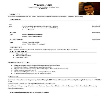 Waleed Raza cv final | PDF