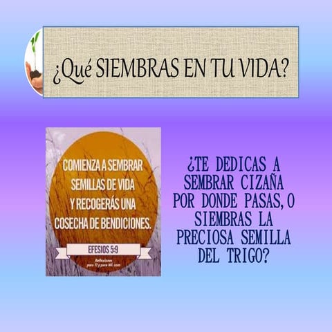 477Te dedicas a sembrar cizana por donde pasas.ppt