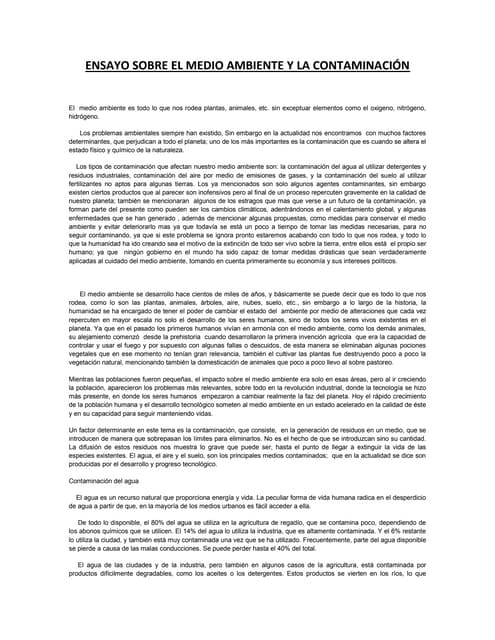 Ensayo sobre la contaminacion ambiental | PDF