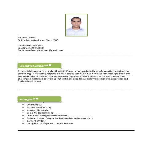 HAMMAD ANWER | DOCX | Internet | Computing