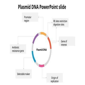 479440-Plasmid DNA PowerPoint slide.pptx