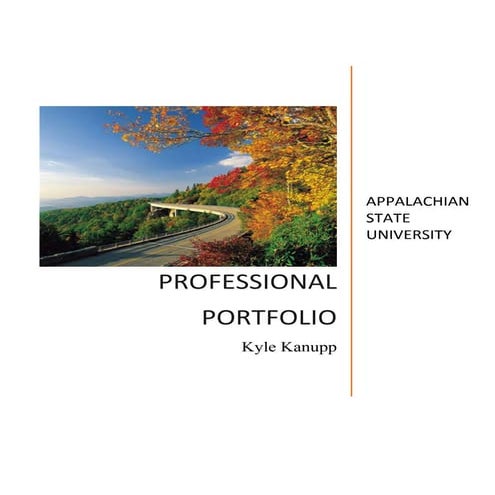 Senior Portfolio | PDF