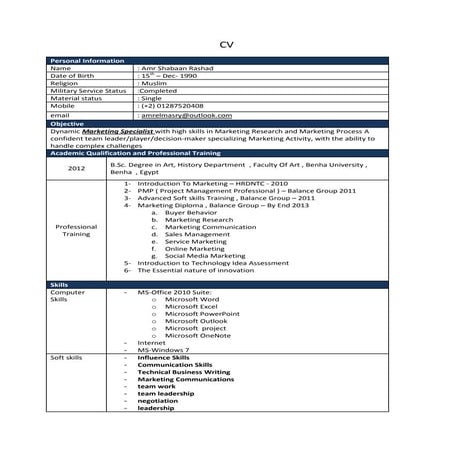 Amr.Shbaan-CV FINAL | PDF