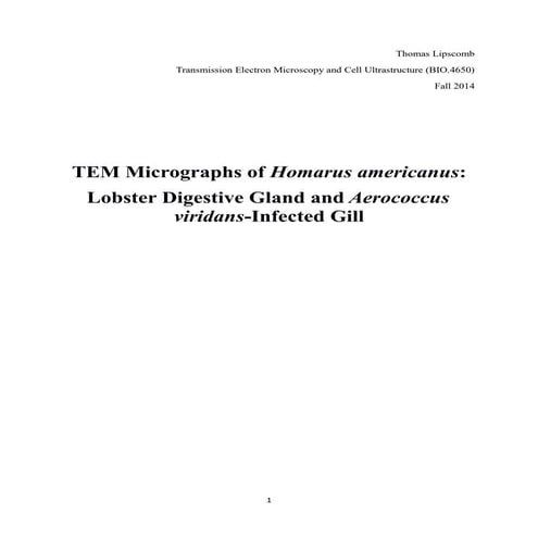 Thomas H Lipscomb presentations