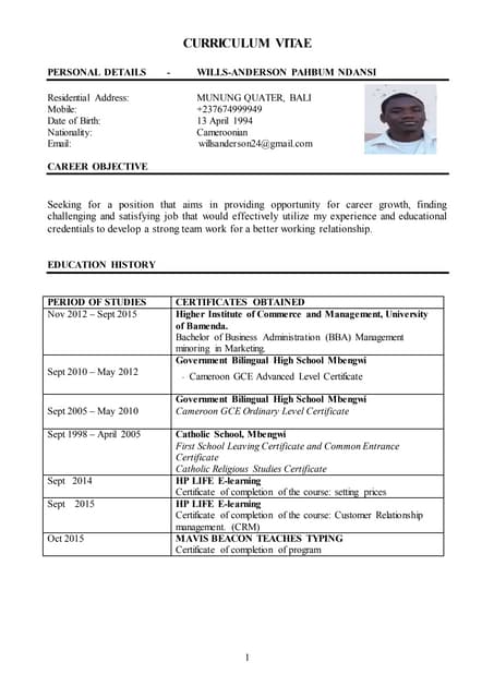 Philani Kweyama's CV | PDF