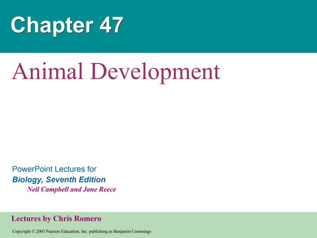 Fertilization Notes Pptx