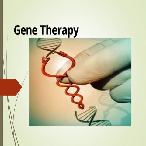 Synergids and its functions , reproductive biology of angiosperms | PPTX