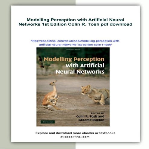 Modelling Perception with Artificial Neural Networks 1st Edition Colin ...