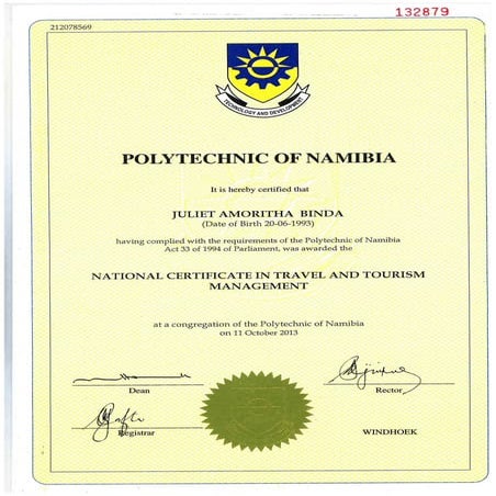 Certificate of Travel and Tourism | PDF