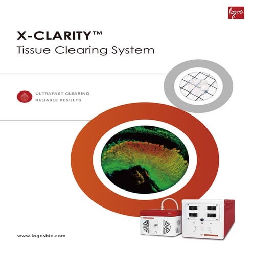 X-CLARITY brochure_v0.7 | PDF