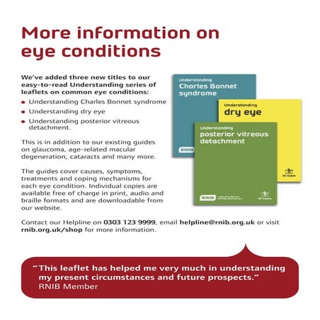 RNIB Understanding series | PDF