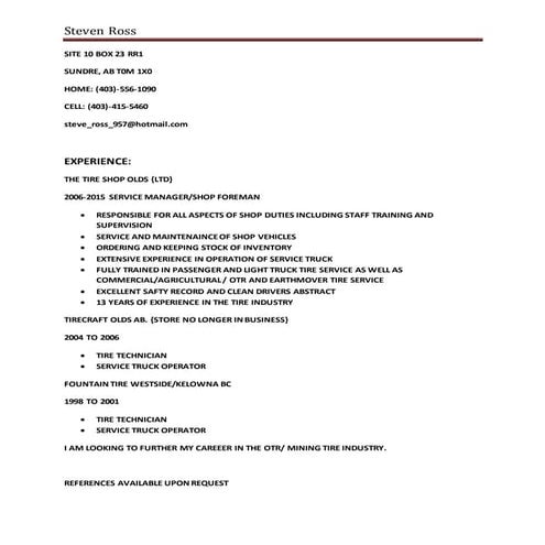 STEVE'S RESUME | PDF