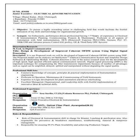 E&I Resume | DOC | Business | Business and Finance