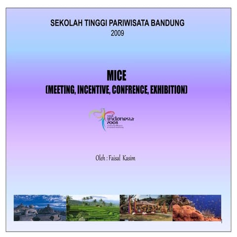 48488412-MATERI-MICE.pptx