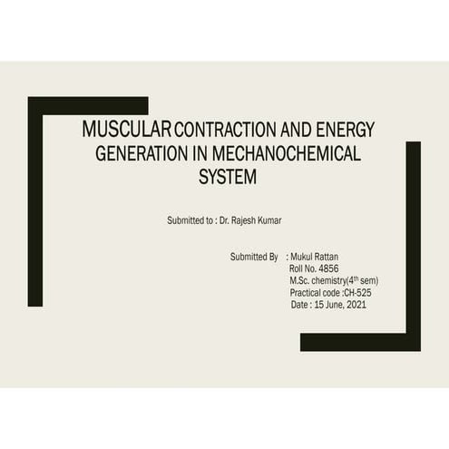 Muscles Contraction | PDF