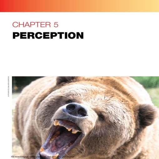 Edges of perception | PDF