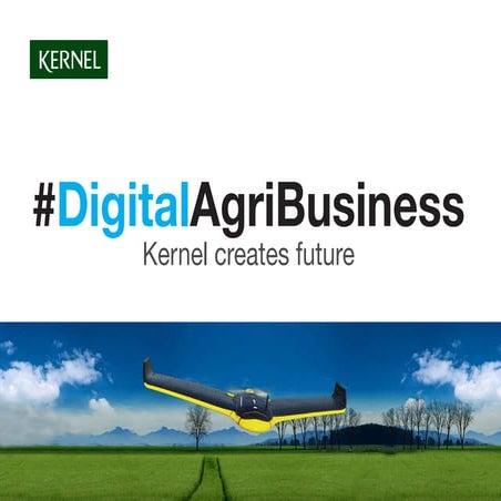#DigitalAgriBusiness #Kernel | PDF